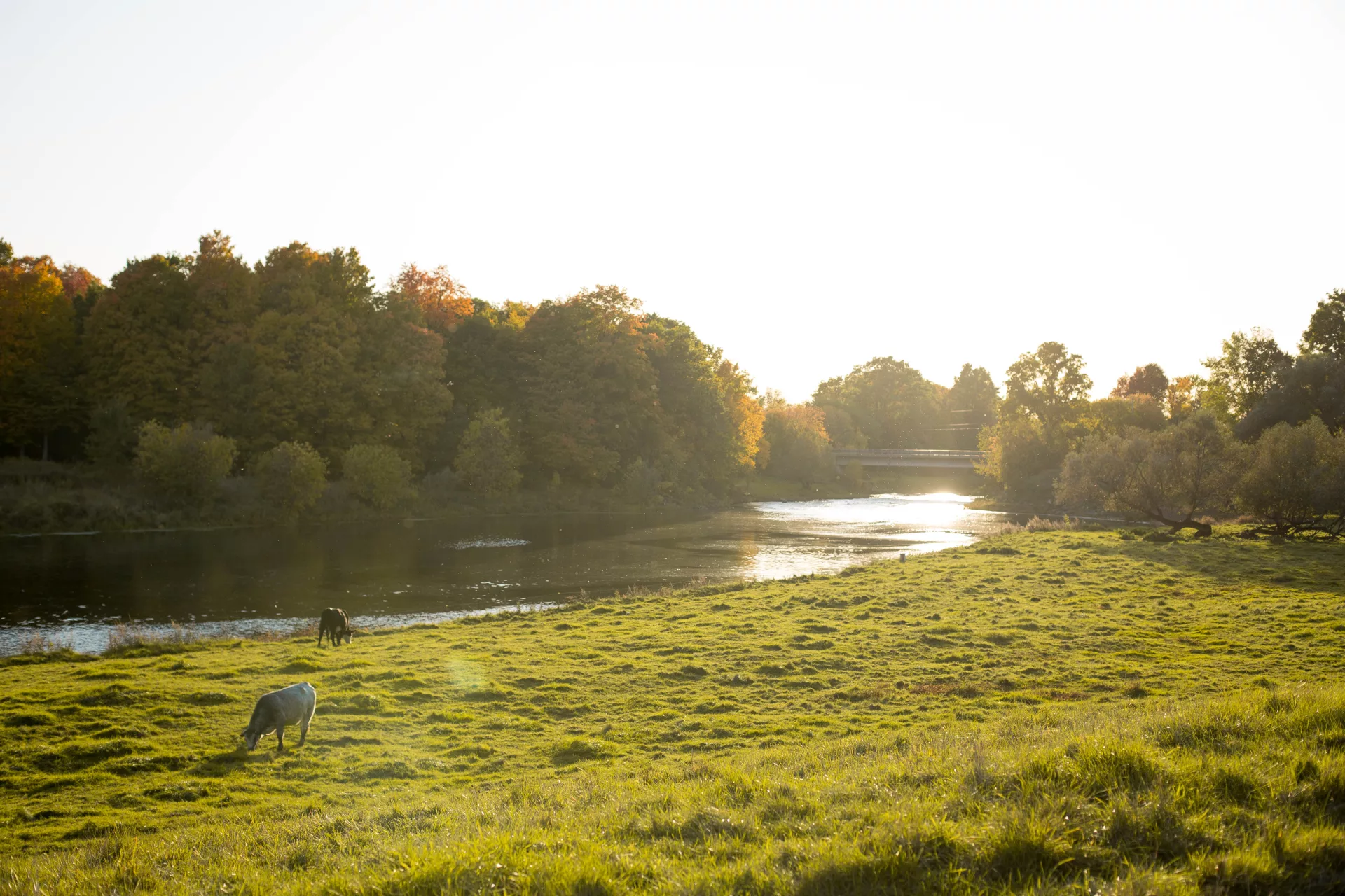 Accueil - Municipalité d'Ormstown